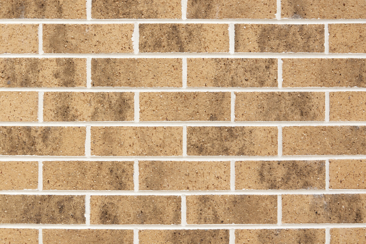 Domain Bricks in Oasis Colour